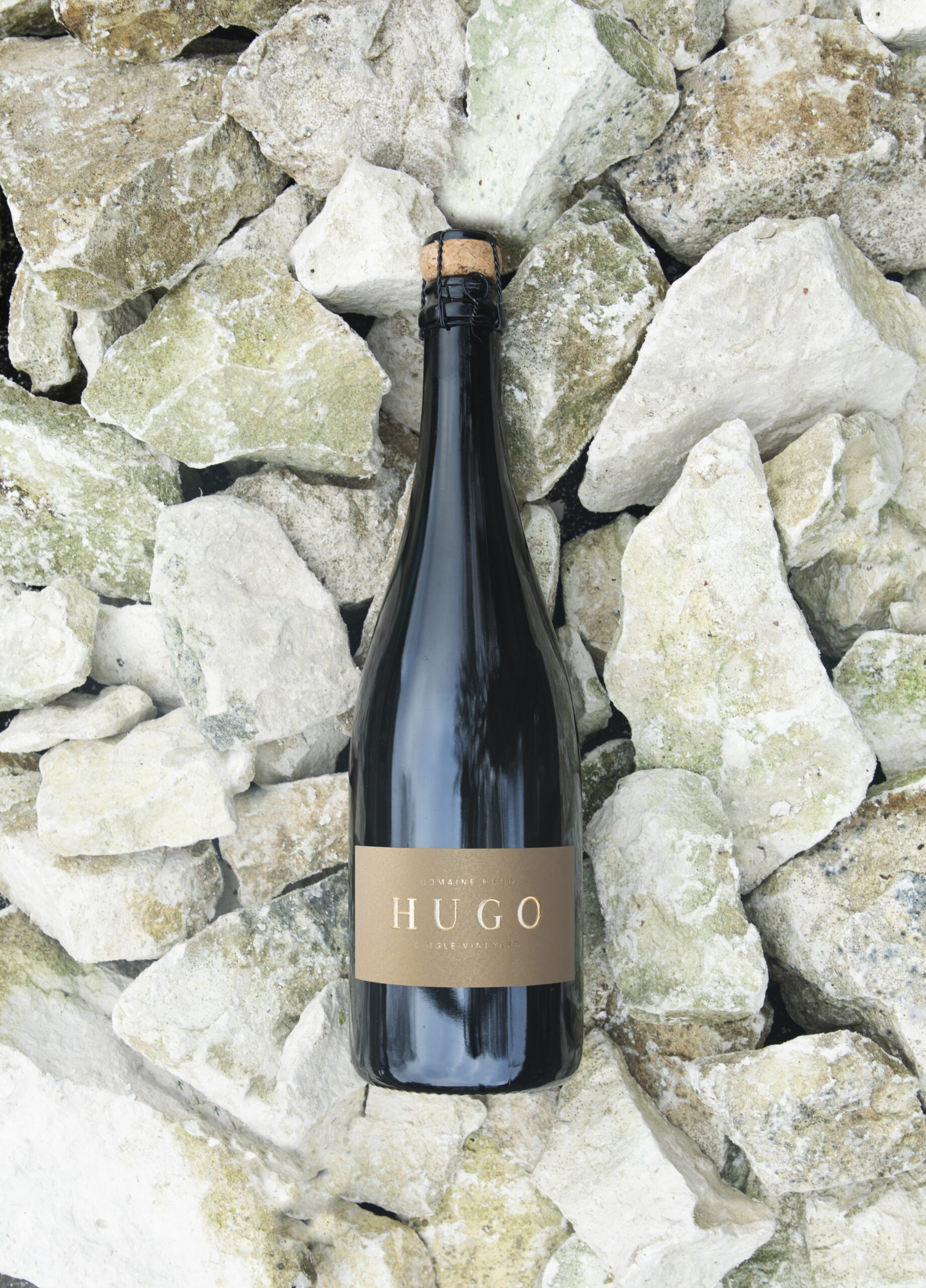 Wine - Domaine Hugo - sparkling English wine from the downlands of ...